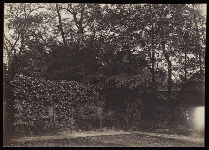 Photograph | Rupert Potter | V&A Explore The Collections