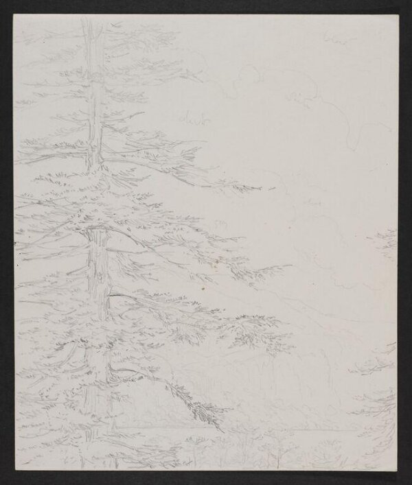 Fawe Park | Potter, Beatrix | V&A Explore The Collections