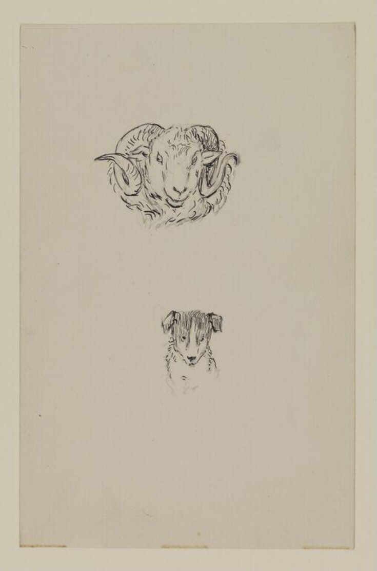 Drawing | Potter, Beatrix | V&A Explore The Collections