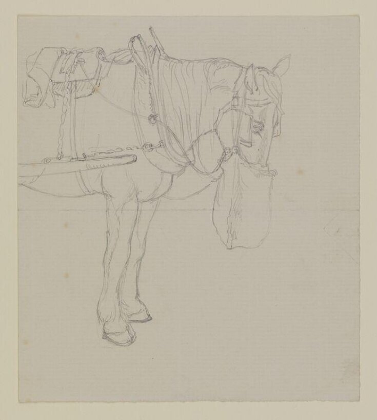 Drawing | Potter, Beatrix | V&A Explore The Collections
