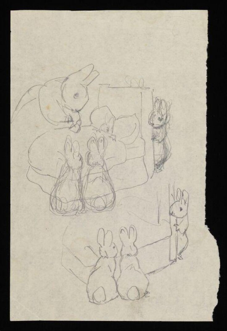 Drawing | Potter, Beatrix | V&A Explore The Collections