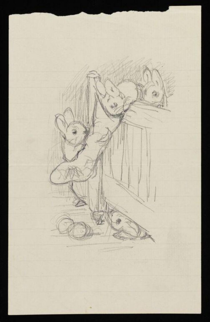 Drawing | Potter, Beatrix | V&A Explore The Collections
