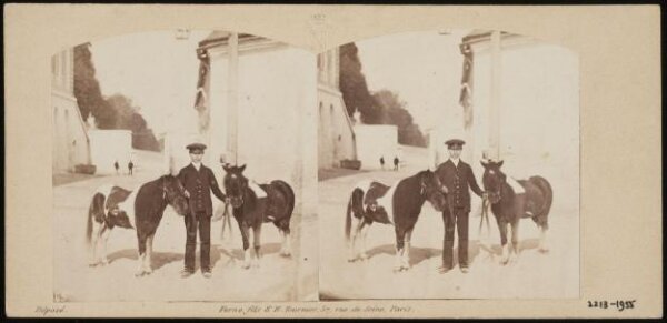 Arlequin and Polichinel, Ponies belonging to His Highness the Imperial ...