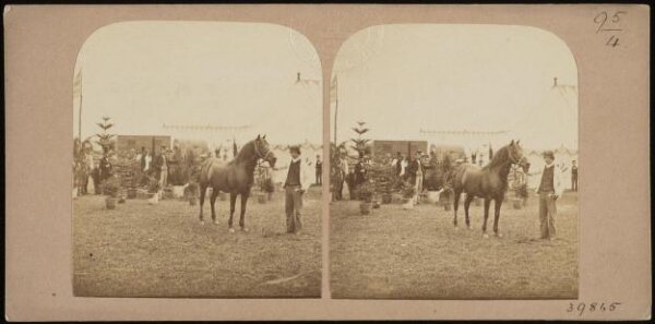 The Pony, Bobby | William Britton | V&A Explore The Collections