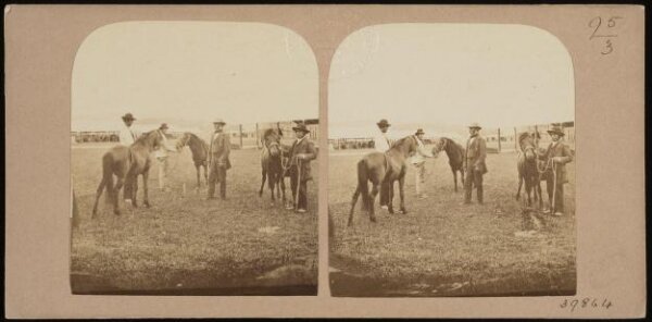 Group of Exmoor Ponies | William Britton | V&A Explore The Collections