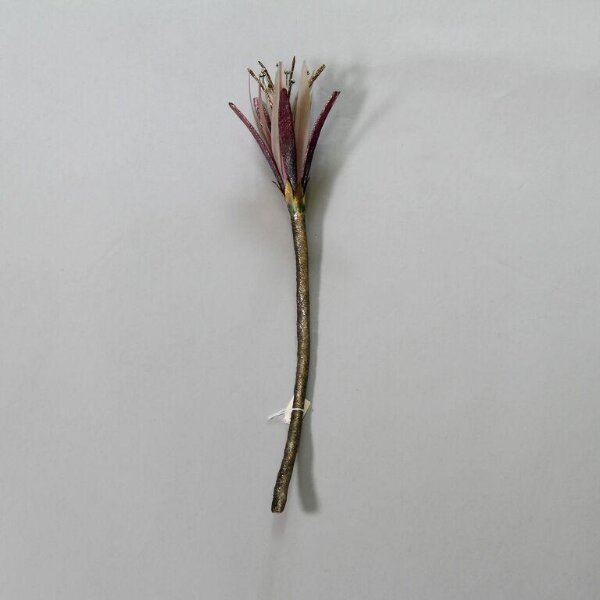 Flower | Skillen, Hugh | V&A Explore The Collections