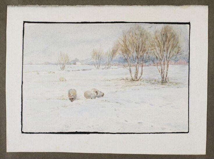 Drawing | Potter, Bertram | Potter, Beatrix | V&A Explore The Collections