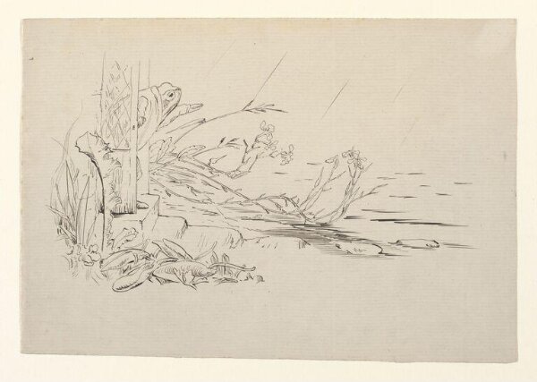 The frog looking out of his house | Beatrix Potter | V&A Explore The ...