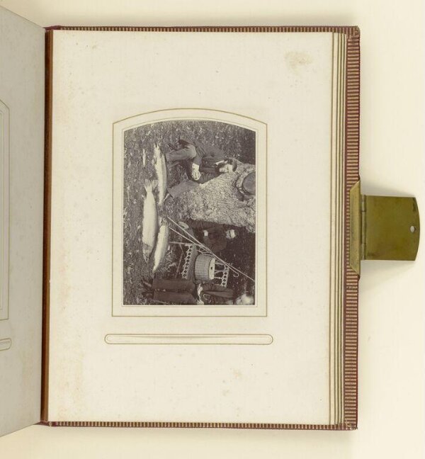 Photograph | Rupert Potter | V&A Explore The Collections