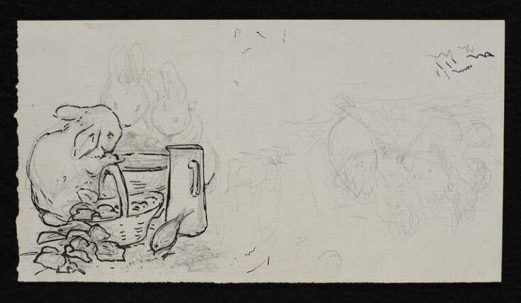 Drawing | Potter, Beatrix | V&A Explore The Collections