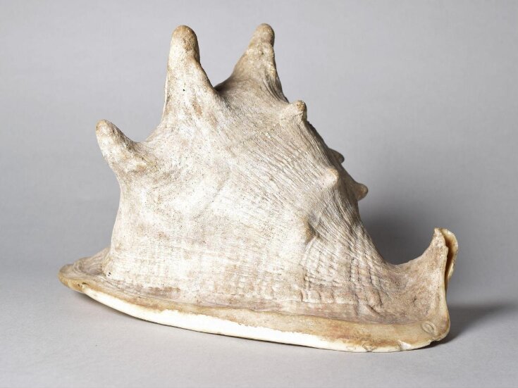 Wind Instrument | V&A Explore The Collections