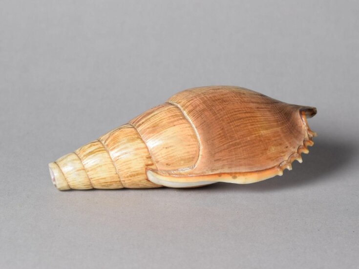 Wind Instrument | V&A Explore The Collections