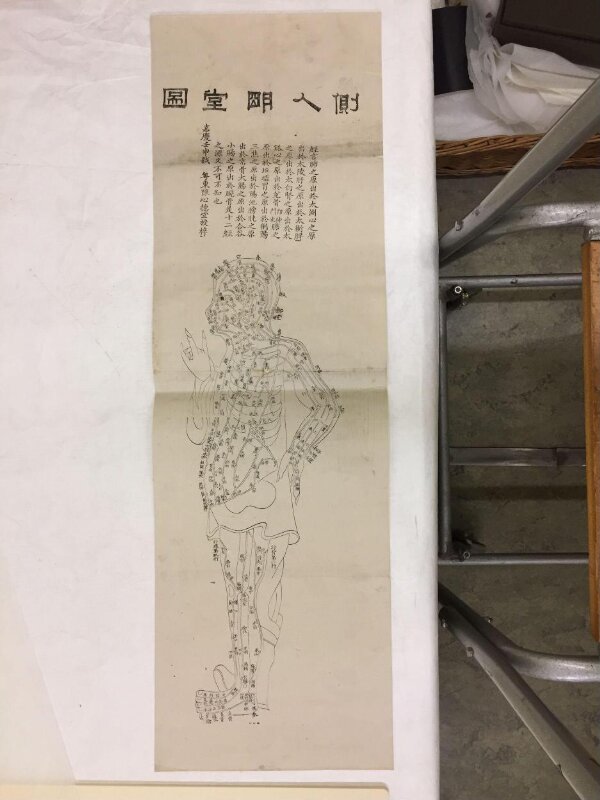 Acupuncture Chart, Side View of the Human Body | Unknown | V&A Explore ...