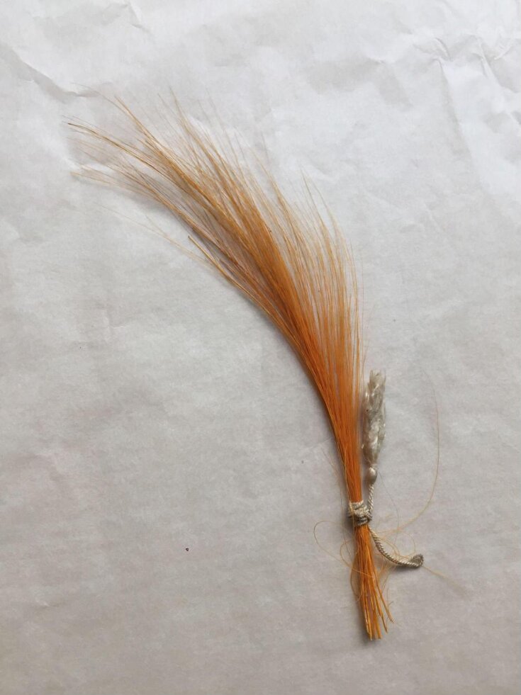 Feather | V&A Explore The Collections