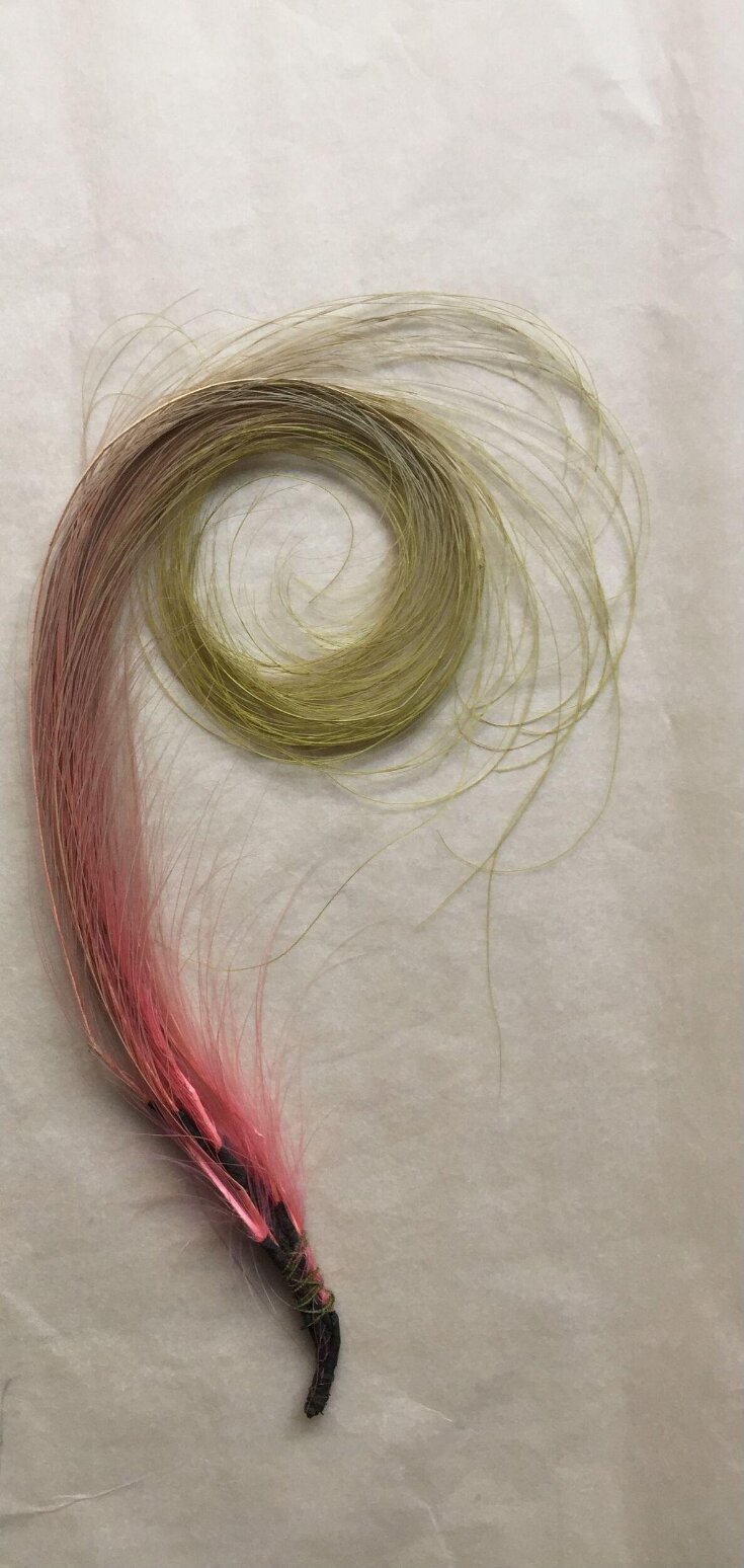 Feather | V&A Explore The Collections