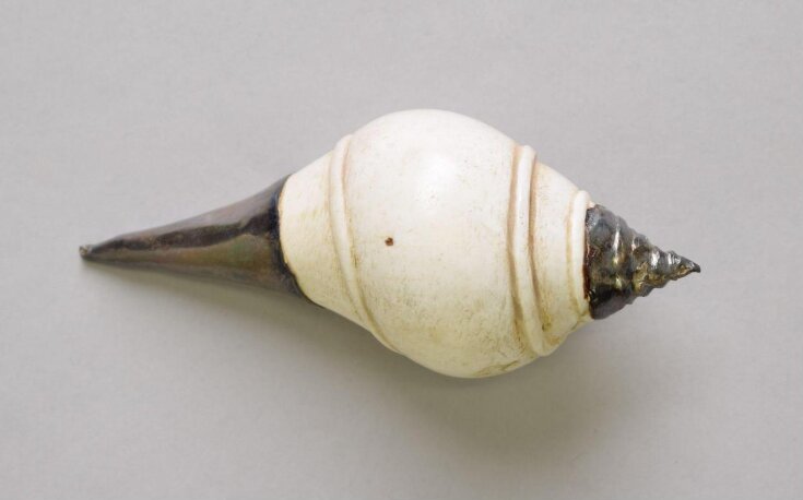 Conch Shell | V&A Explore The Collections