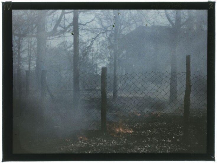 Werbellinsee: Burning Moss near Hubertusstock | Paneth, Friedrich Adolf ...