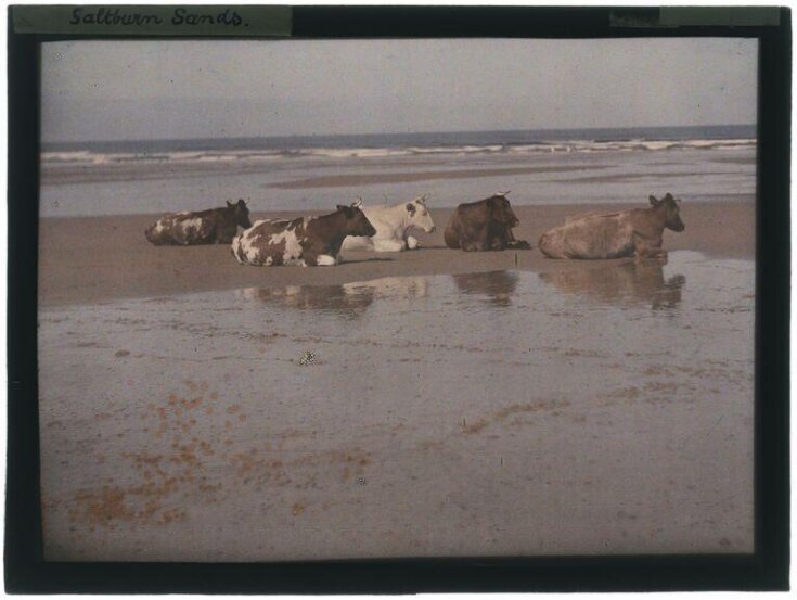 Saltburn Sands | Warburg, John Cimon | V&A Explore The Collections