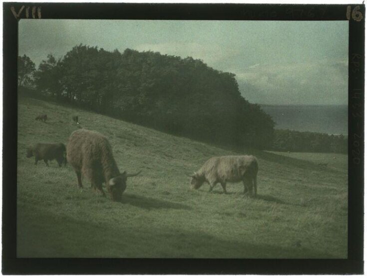 Highland Castle, Scotland | Paneth, Friedrich Adolf | V&A Explore The ...