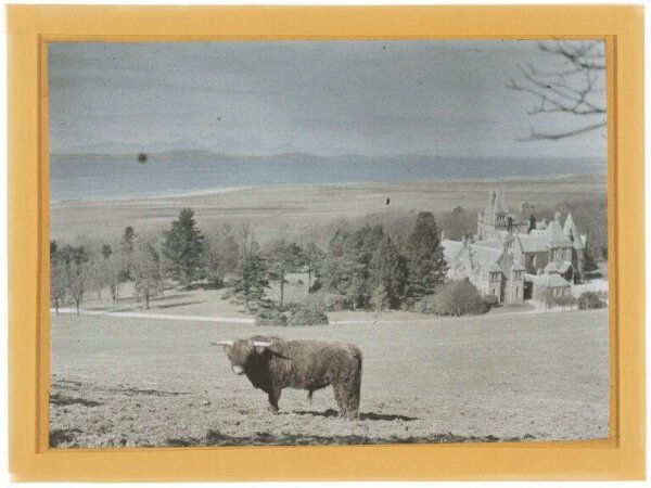 Scotland | Paneth, F.A. | V&A Explore The Collections