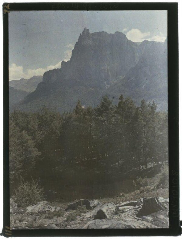 Seis: Laruzer Forest at noon seen against the Schlern mountains ...