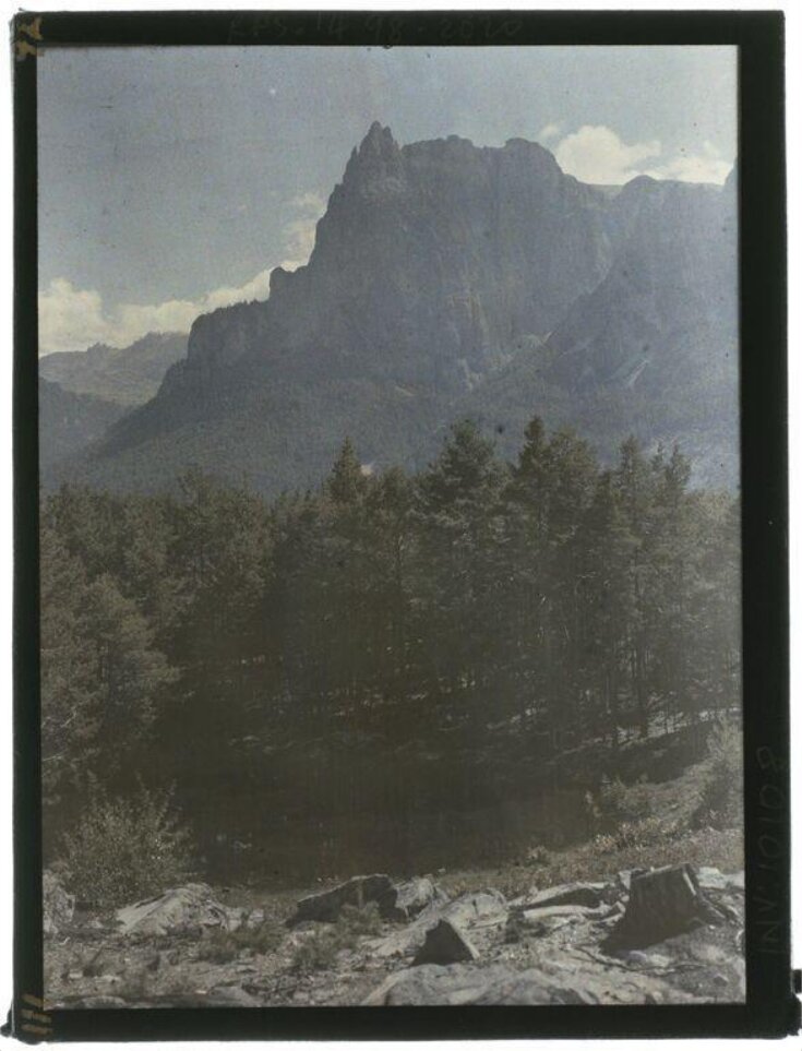 Seis: Laruzer Forest at noon seen against the Schlern mountains ...