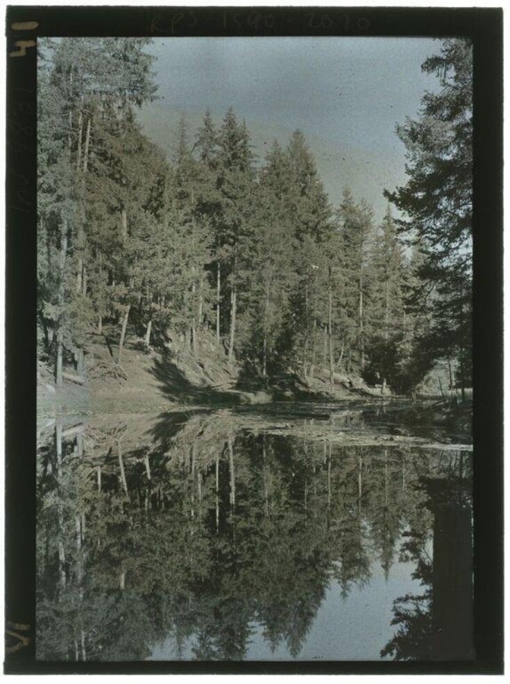 Stilvie Pass, Italy | Paneth, Friedrich Adolf | V&A Explore The Collections