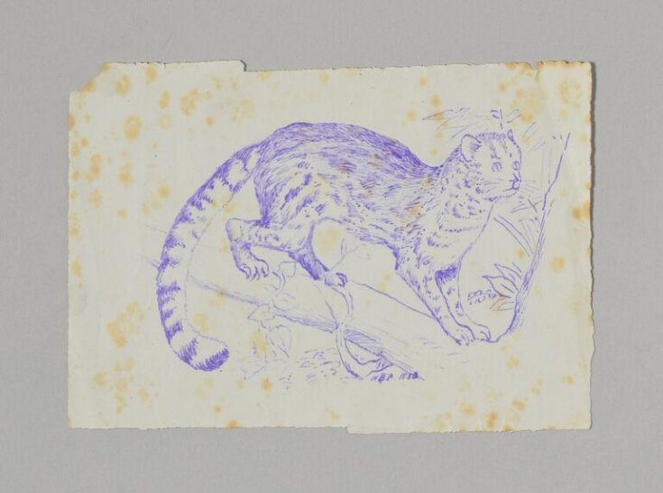 Print | Potter, Beatrix | V&A Explore The Collections