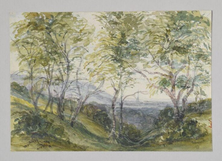 Watercolour | Leech, Helen | V&A Explore The Collections