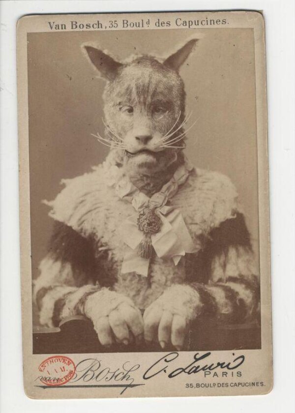 Charles Lauri Jnr | van Bosch, Otto | V&A Explore The Collections