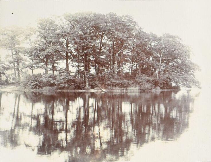 Photograph | Potter, Rupert | V&A Explore The Collections