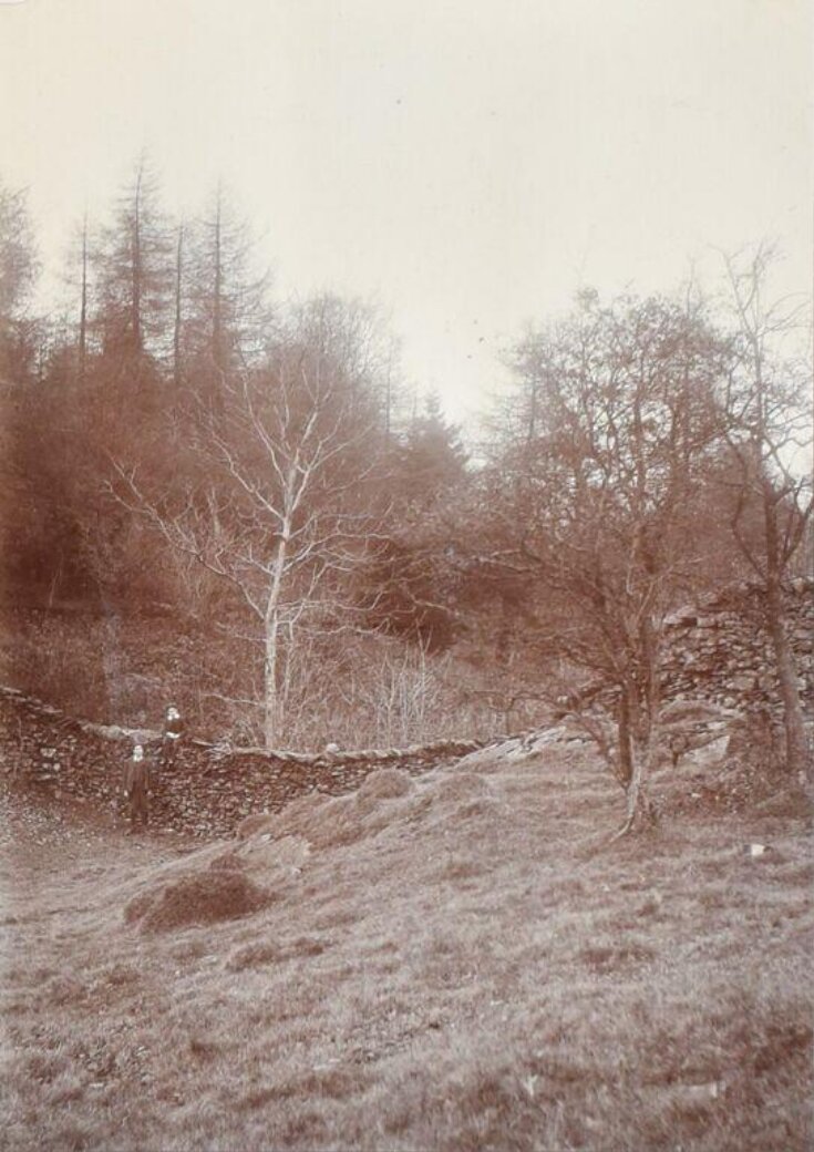 Photograph | Potter, Rupert | V&A Explore The Collections