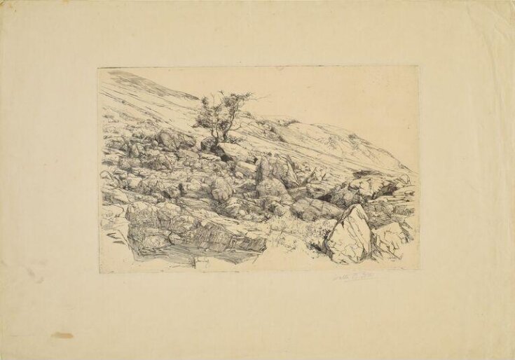 Fellside at Troutbeck | Potter, Bertram | V&A Explore The Collections