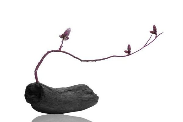 Zen | Aka Chen | V&A Explore The Collections