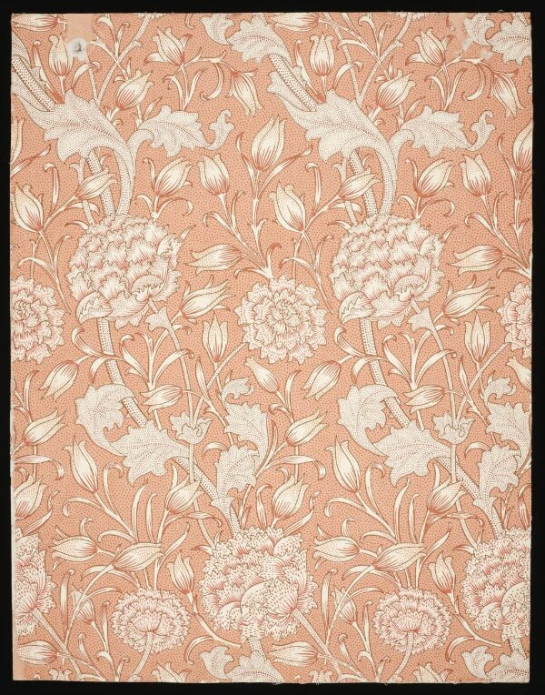 Wild Tulip | Morris, William | V&A Explore The Collections