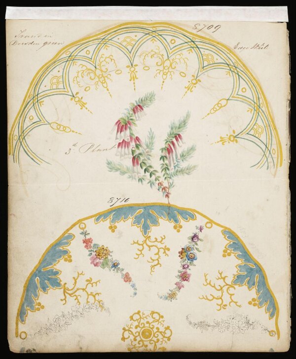 Sheet of plate designs from a pattern book | V&A Explore The Collections