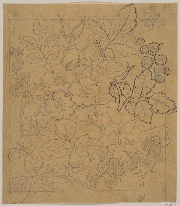 Drawing | Bruce James Talbert | V&A Explore The Collections