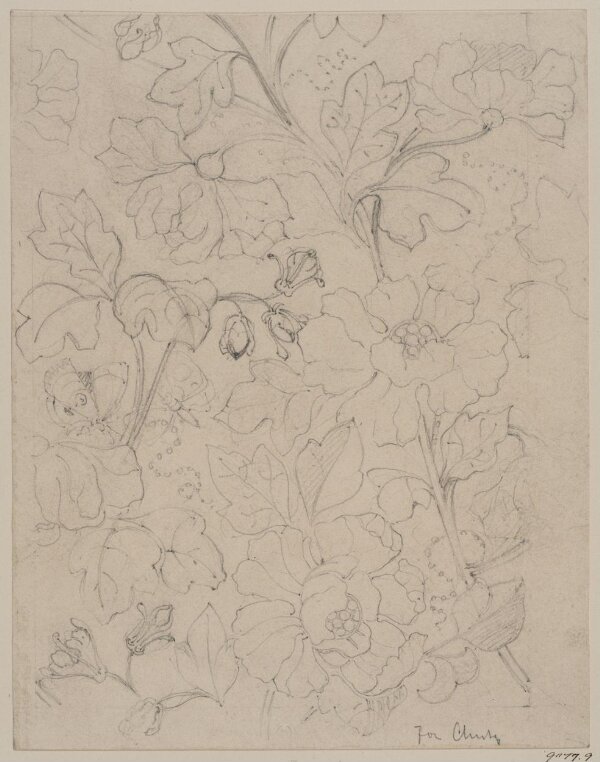 Drawing | Bruce James Talbert | V&A Explore The Collections