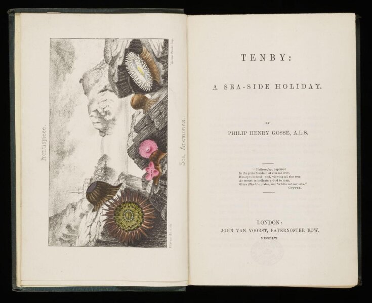 Tenby: a sea-side holiday | V&A Explore The Collections