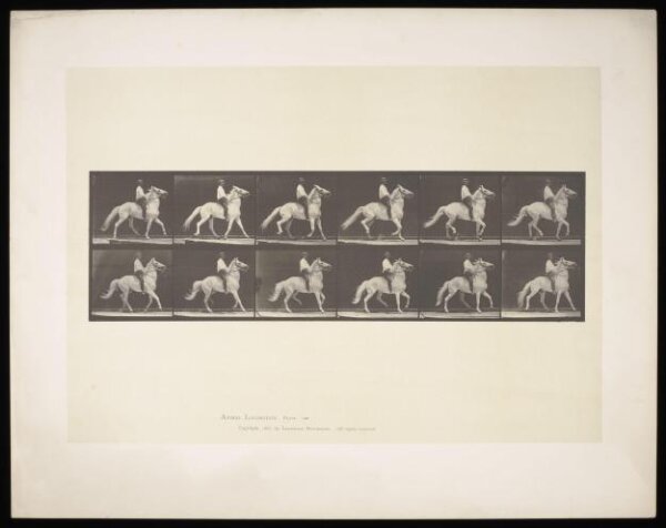 Animal Locomotion | Eadweard Muybridge | V&A Explore The Collections
