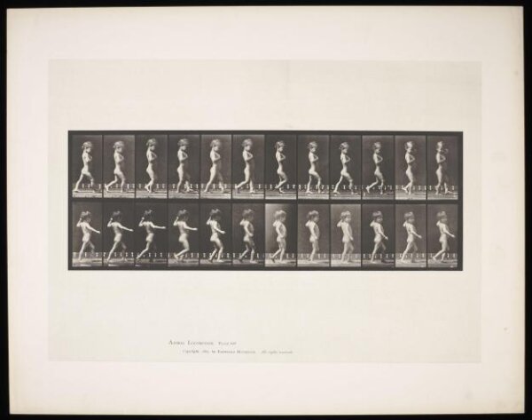 Animal Locomotion | Eadweard Muybridge | V&A Explore The Collections