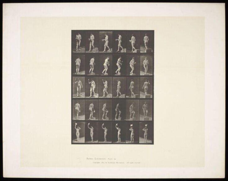 Animal Locomotion | Eadweard Muybridge | V&A Explore The Collections