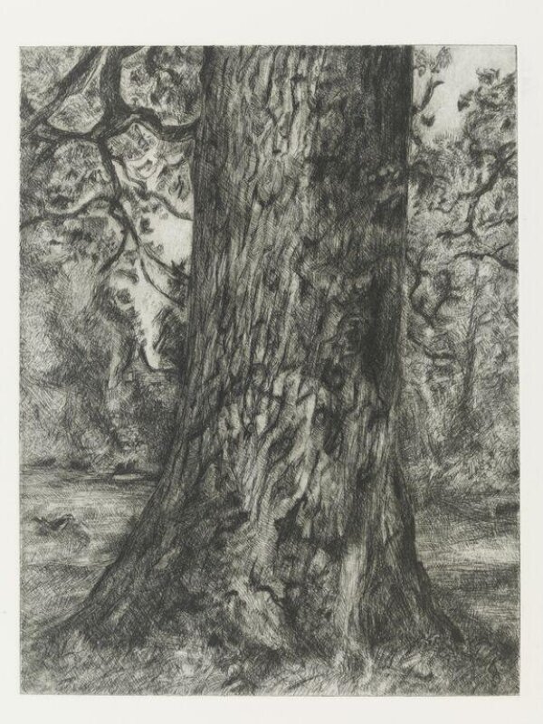 After Constable's Elm | Balakjian, Marc | Freud, Lucian | V&A Explore ...