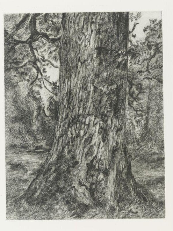 After Constable's Elm | Balakjian, Marc | Freud, Lucian | V&A Explore ...