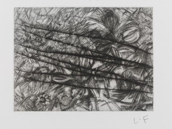 Landscape | Balakjian, Marc | Freud, Lucian | V&A Explore The Collections