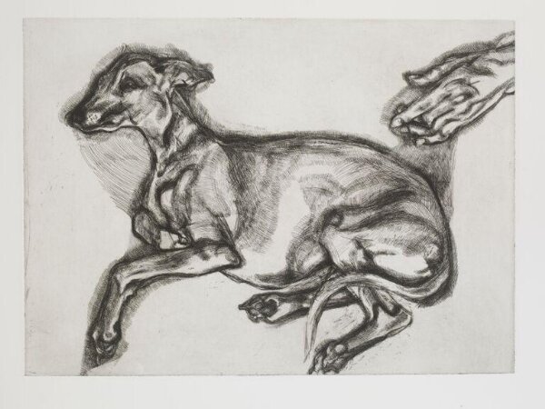 Pluto Aged Twelve | Balakjian, Marc | Freud | V&A Explore The Collections