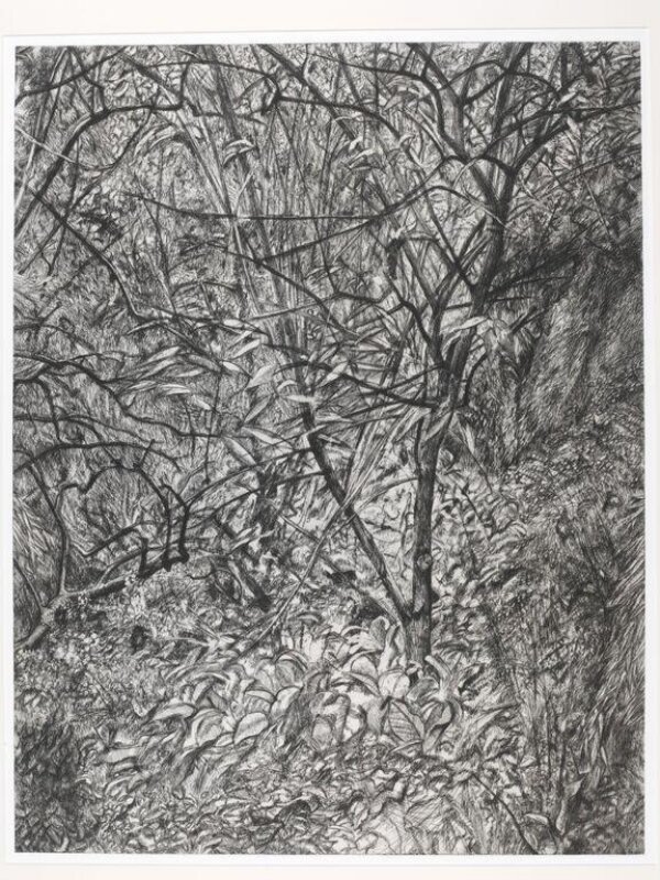 Garden in Winter | Balakjian, Marc | Freud, Lucian | V&A Explore The ...