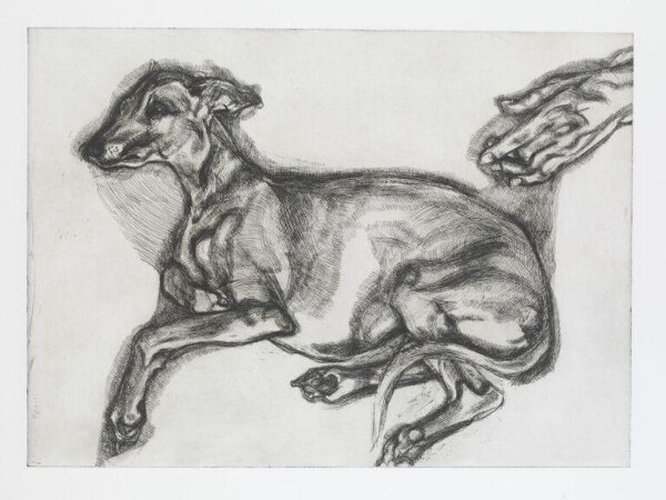 Pluto Aged Twelve | Balakjian, Marc | Freud, Lucian | V&A Explore The ...