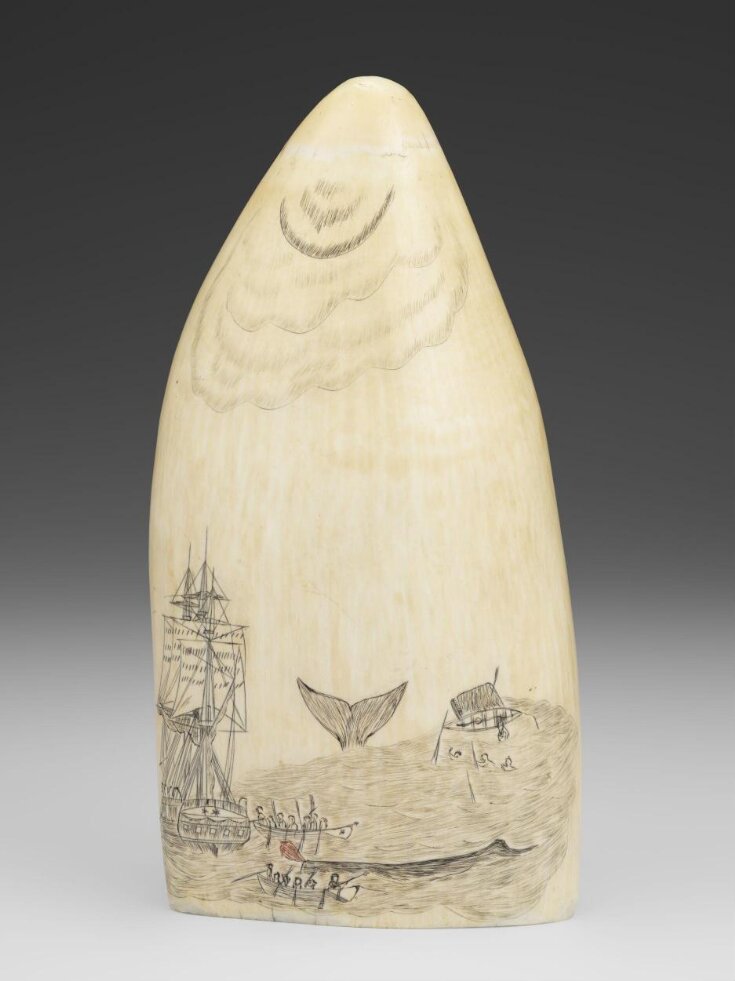 Scrimshaw | unknown | V&A Explore The Collections