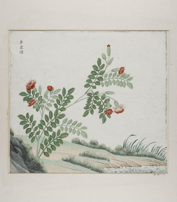 Dan tang di | Unknown | V&A Explore The Collections
